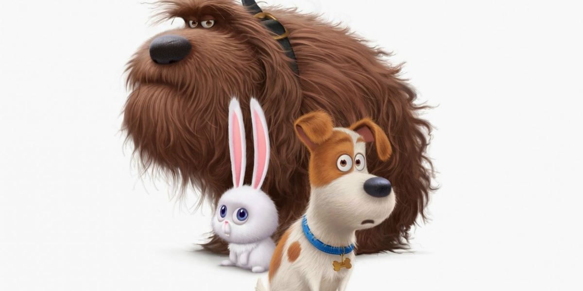 Film review: The Secret Life Of Pets - Richer Sounds Blog | Richer ...