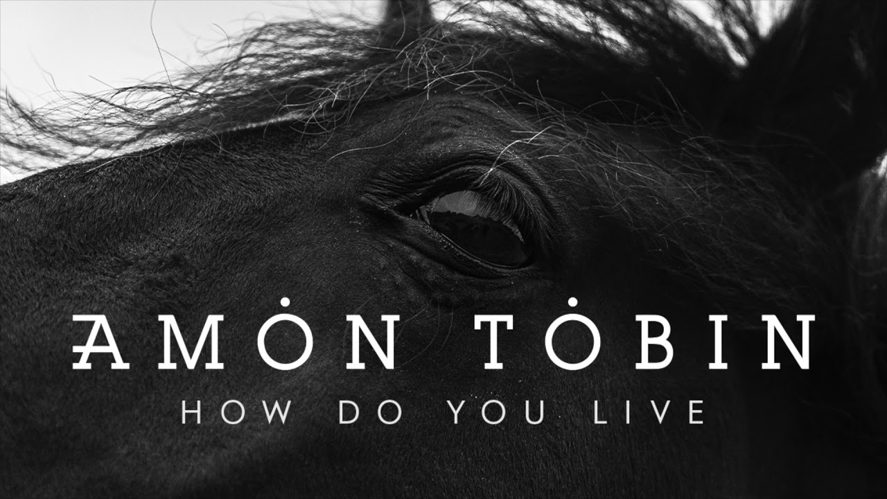 MUSICA&SOM: Crítica do álbum: Amon Tobin – How Do You Live