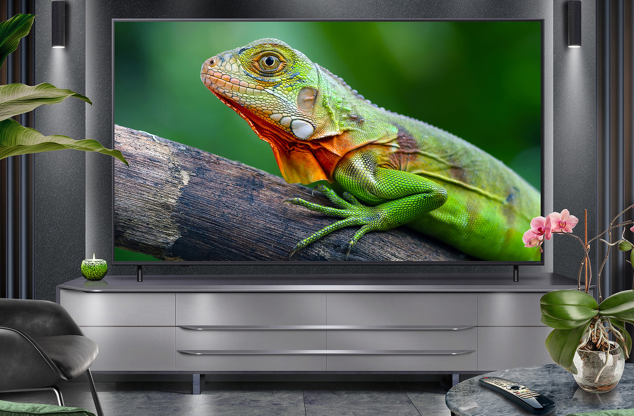 QNED vs OLED | Is QNED Better Than OLED? - Richer Sounds Blog | Richer ...